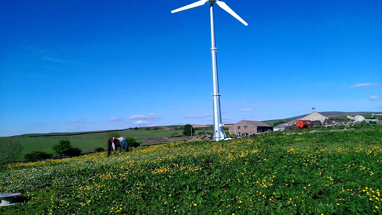 Horses & Wind Turbines (Evoco 10kw) - YouTube