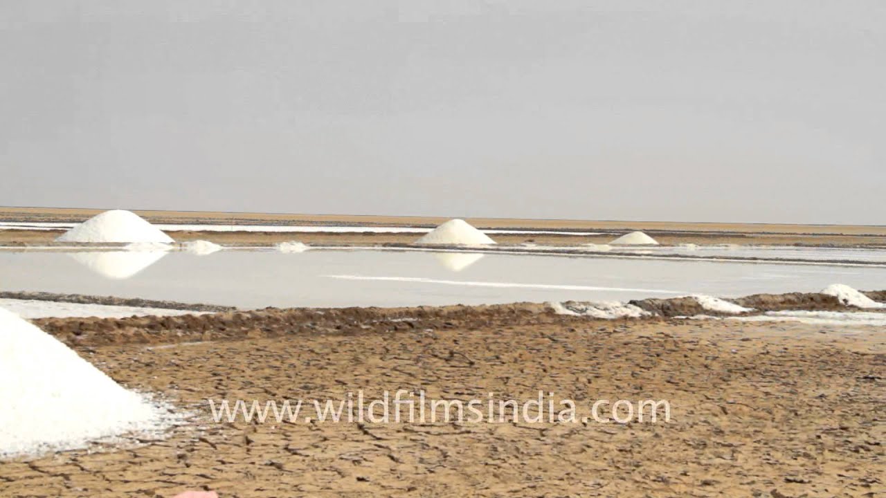 Salt panning in Little Rann of kutch, Gujarat - YouTube