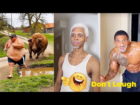 Try Not to Laugh Challenge (IMPOSSIBLE) Laugh and you lose! Funny videos 😂