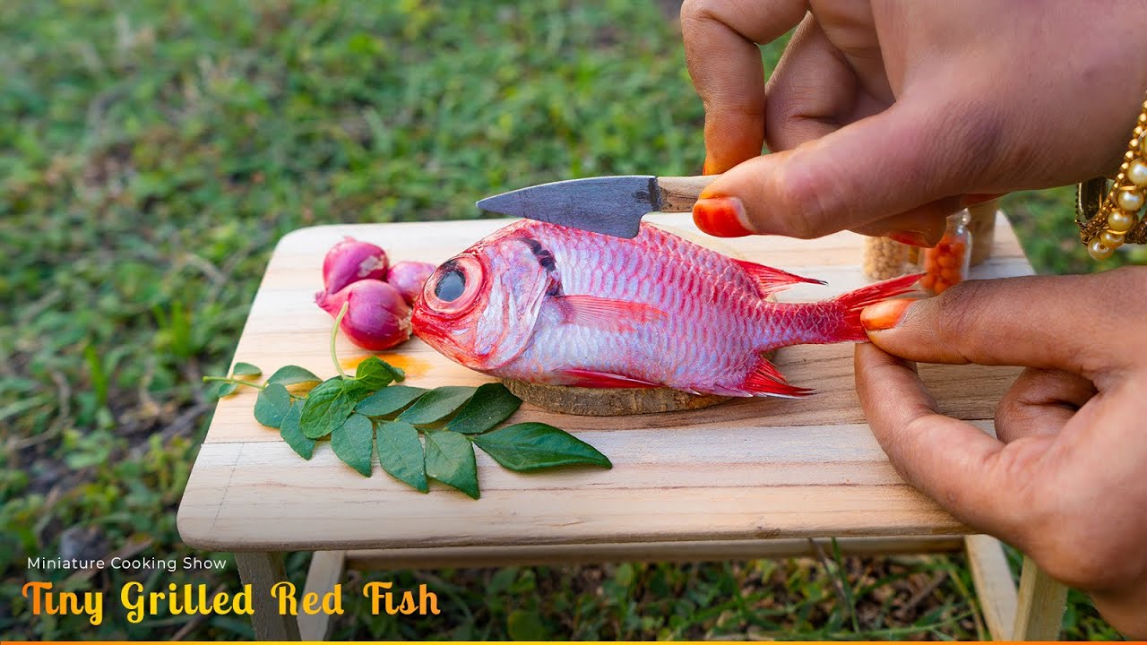 Grilled Red Fish Recipe | Mini Food Real Cooking | Miniature Fish ...