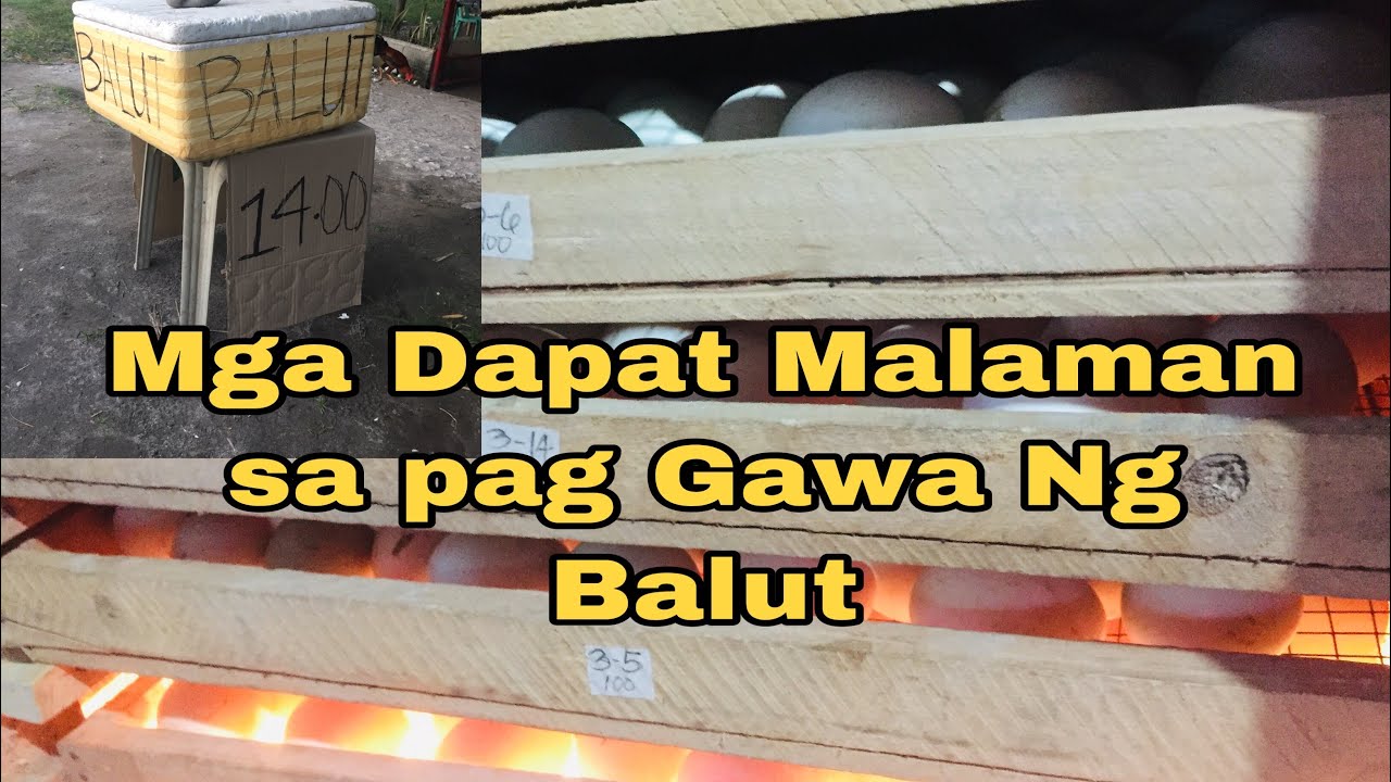 Paanu Gumawa ng Balut II Balut Making II How to Process - YouTube