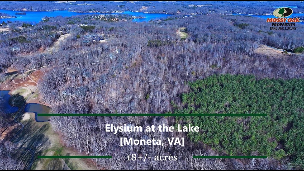 Elysium at Smith Mountain Lake: 18+/- Acres of Ready-to-Build Land for ...