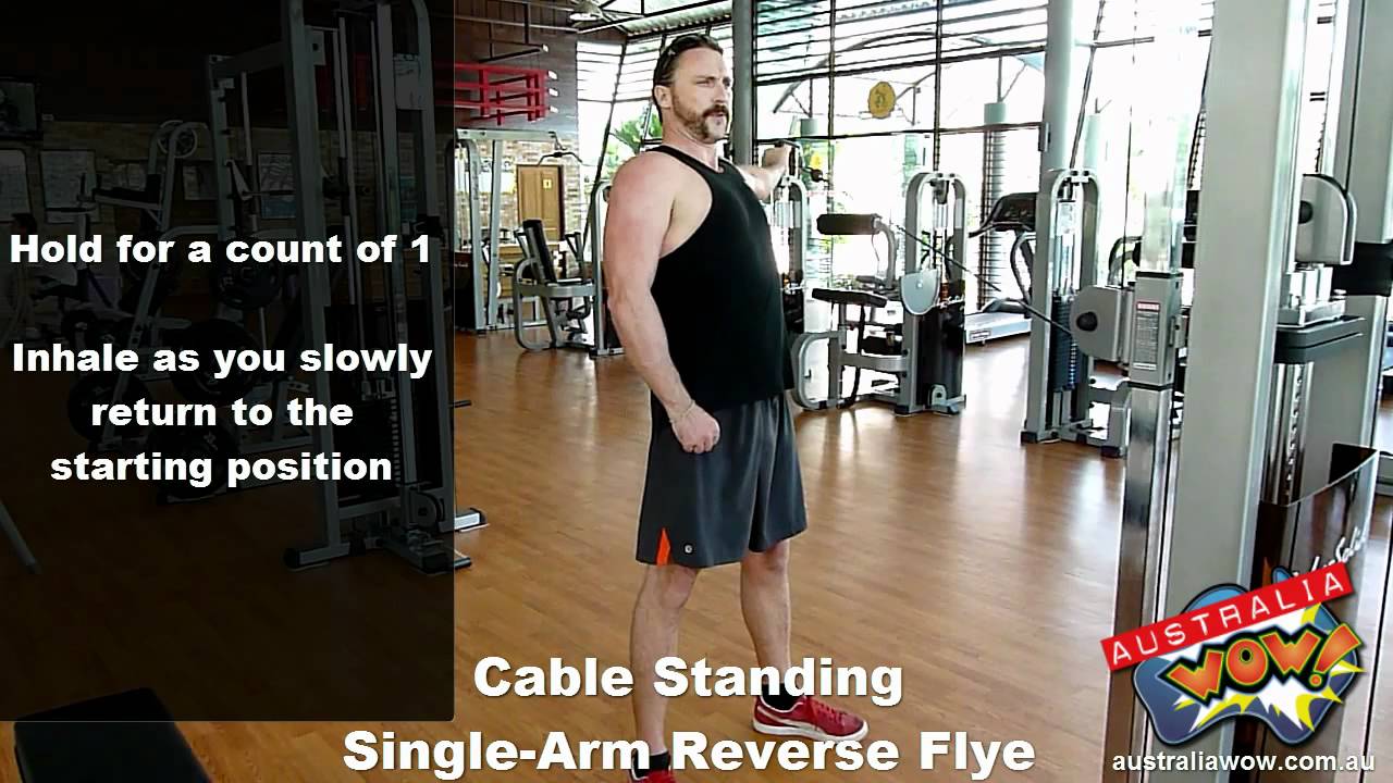 Cable Standing Single Arm Reverse Flye - YouTube