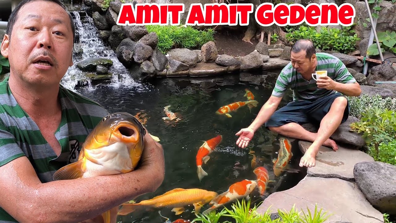 💥Amit amit Gedene Sak bayi bayi🤭Koi Sultan Nirwana - YouTube