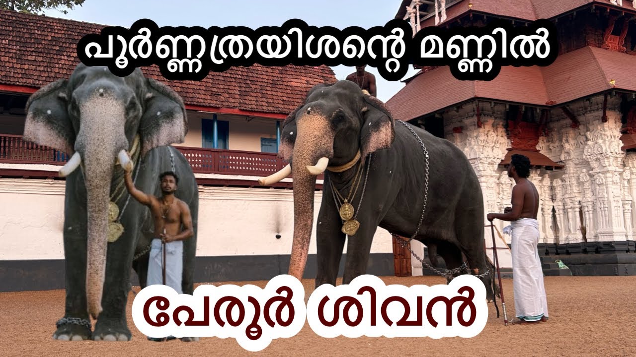 പൂർണ്ണത്രയിശന്റെ ശിവേലി എടുത്ത് പേരൂർ ശിവൻ | peroor shivan - YouTube