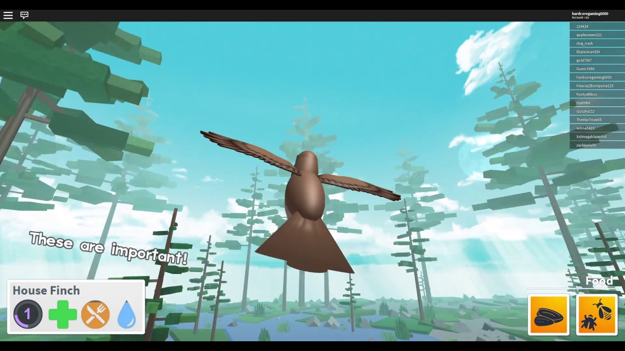 Roblox: Bird Simulator - YouTube