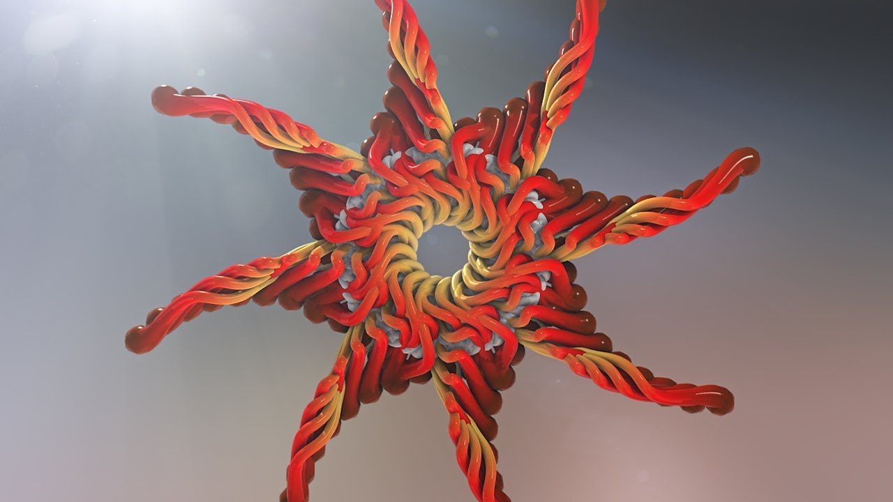 Mandala Mograph 5 | 3d Mandala Animation - YouTube