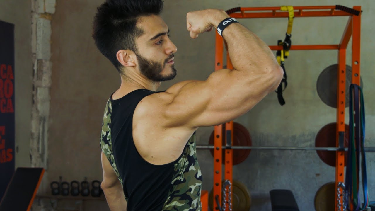 LA EVOLUCIÓN DE LOS PLANES DE ENTRENAMIENTO EN EL GYM - YouTube