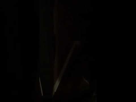 Big sister pranks little brother in the shower