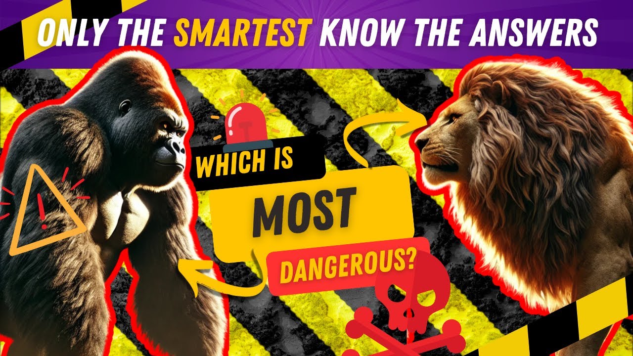Animal Face-Off: Who’s the Ultimate Wildlife Champion? - YouTube