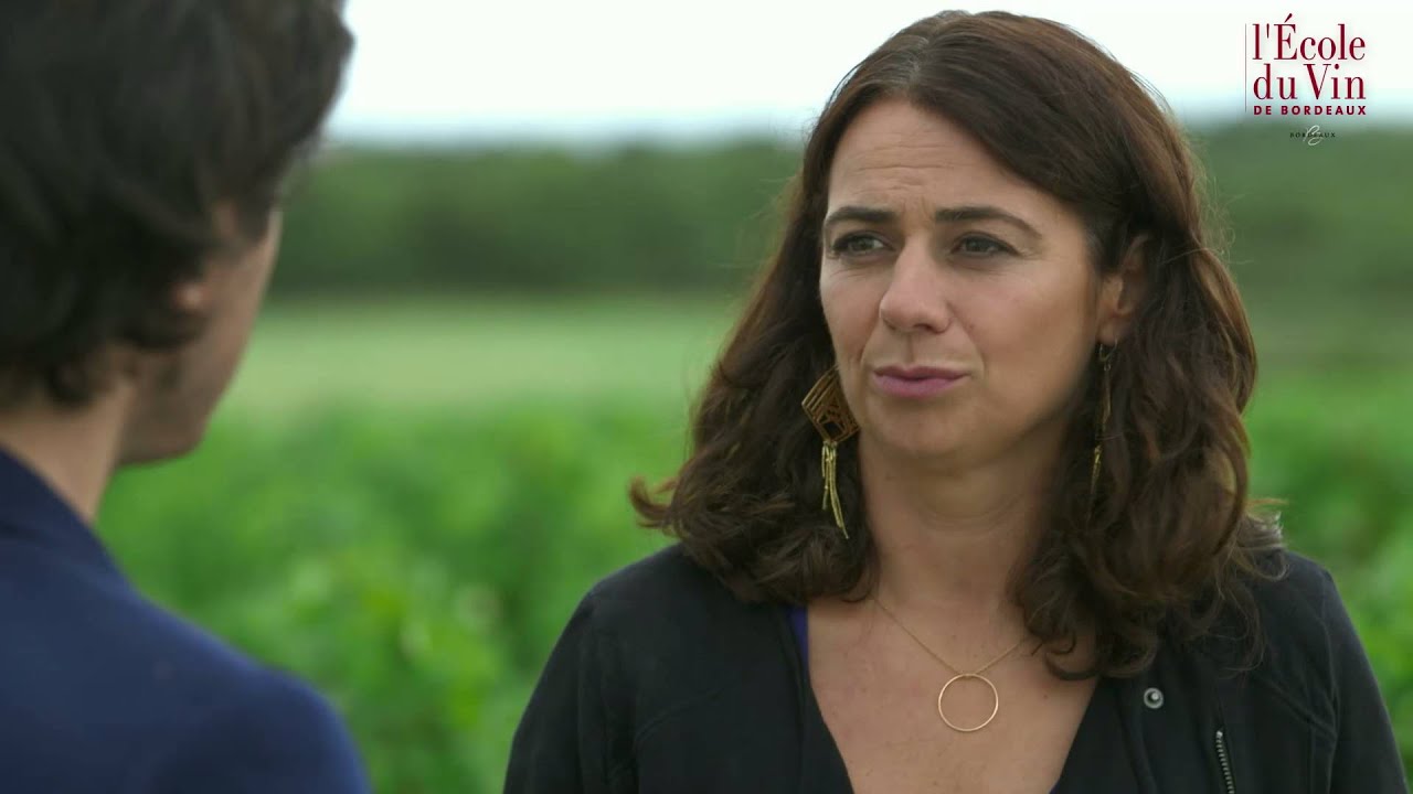 The Bordeaux 1855 classification - YouTube