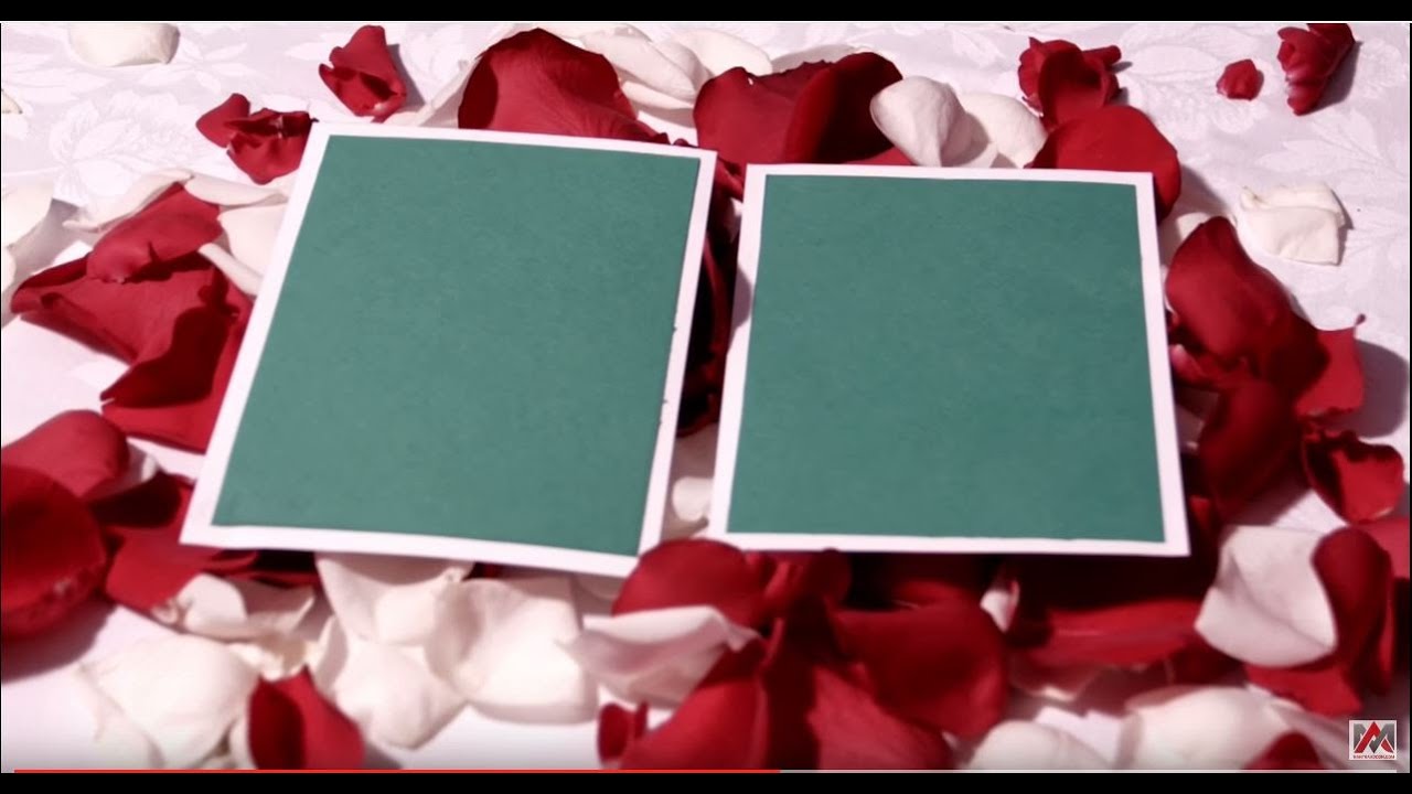 Free HD download Wedding background, Free motion graphics, wedding ...