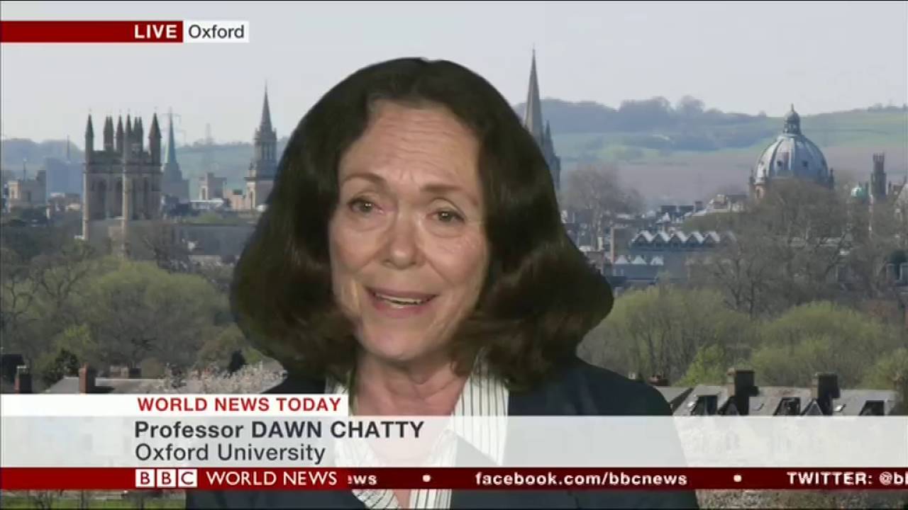 Emeritus Professor Dawn Chatty on BBC World News, 24 May 2016, speaking ...