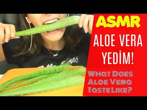 Türkçe ASMR | ALOE VERA'NIN TADI NASIL? | What  Does Aloe Vera Taste Like? |   나는 알로에 베라를 먹었다. ASMR