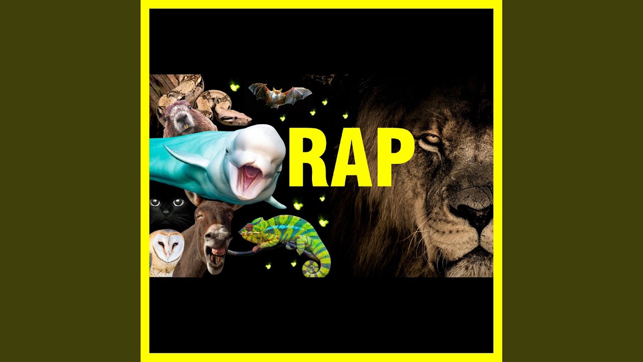 Rap de Los Animales | Aprende los 263 Animales en un Rap - YouTube