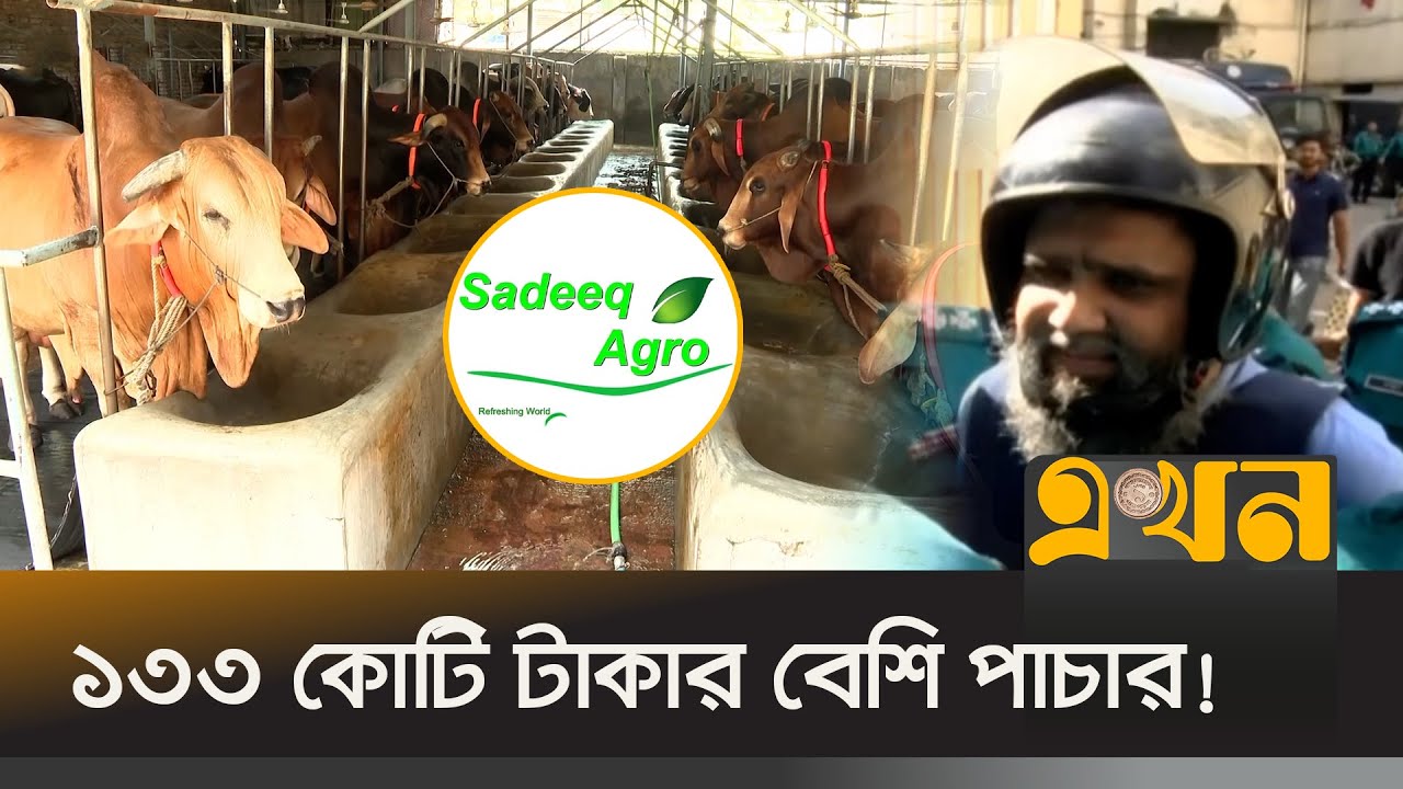 বেরিয়ে আসছে সাদিক এগ্রোর মালিক ইমরানের প্রতারণা | Sadeeq Agro | Imran ...