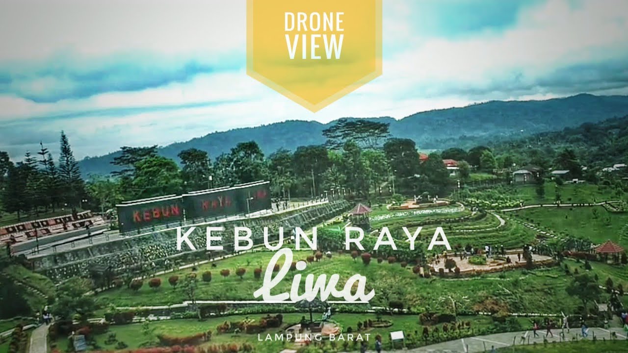KEBUN RAYA LIWA LAMPUNG BARAT | Drone View - YouTube