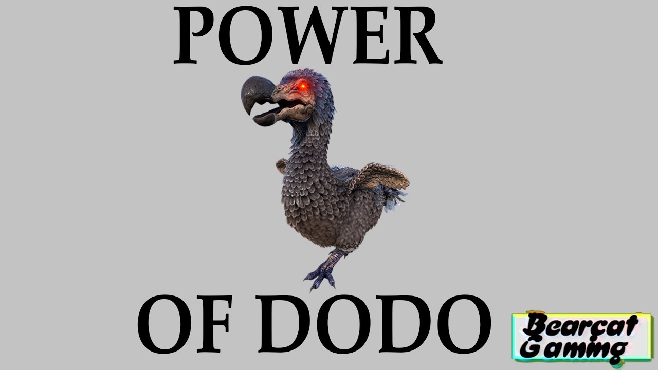 Power Of DODO - YouTube