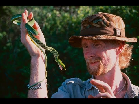 Mark OShea Current showreel - YouTube