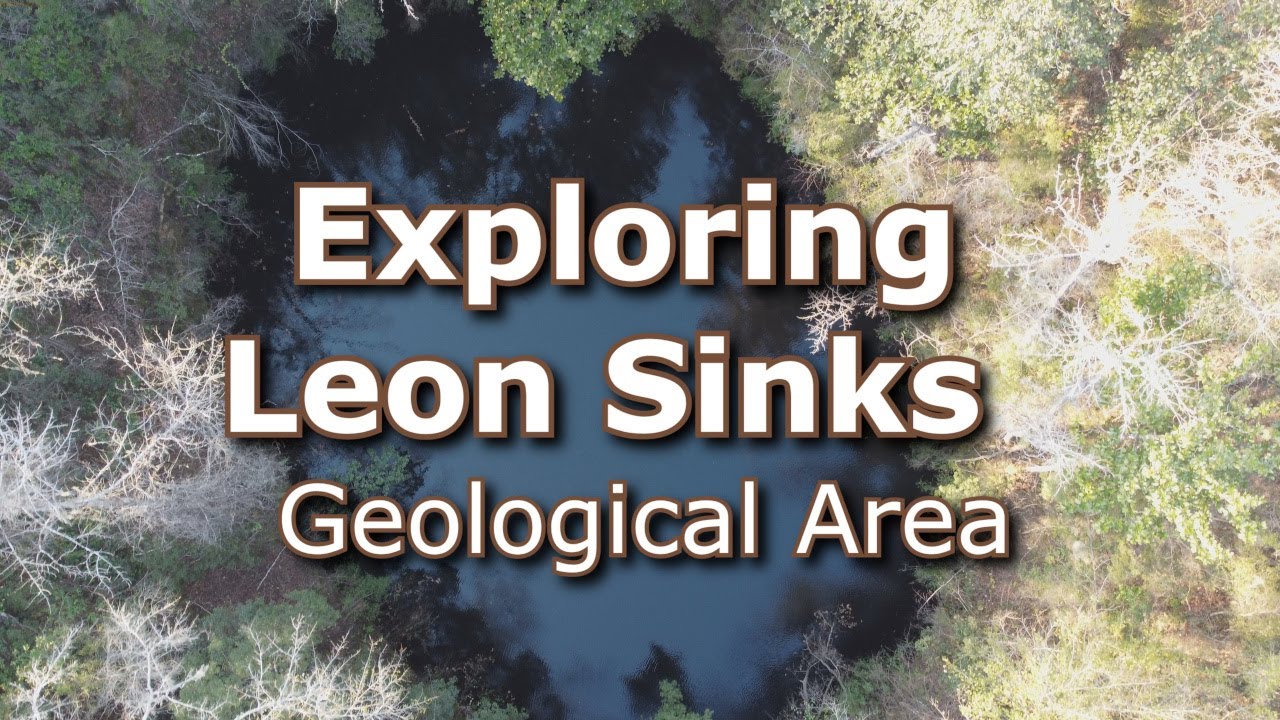 Exploring Big Dismal & Leon Sinks Geological Area - YouTube