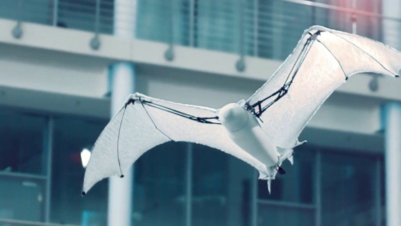 Top 5 Super Cool Animal Robots With Artificial Intelligence From Festo ...