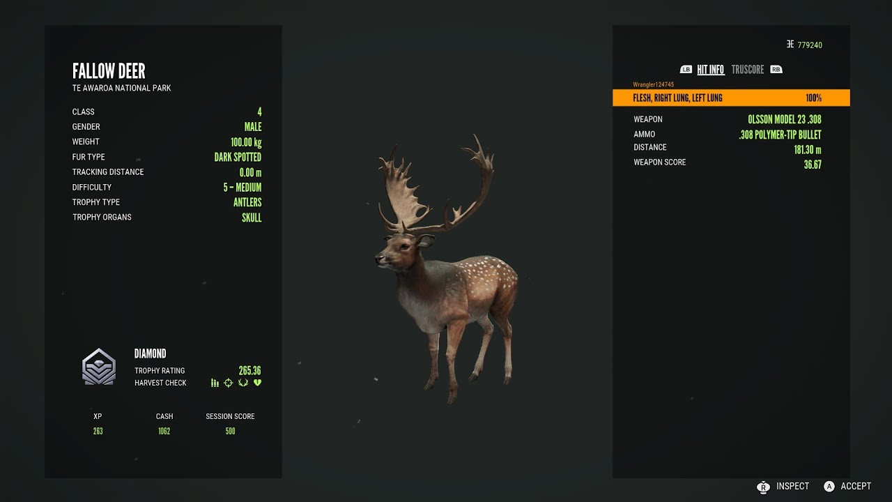 shooting level five fallow deer Hunter call of the wild - YouTube