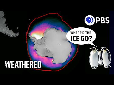 What Is Happening In Antarctica Due To Global Warming