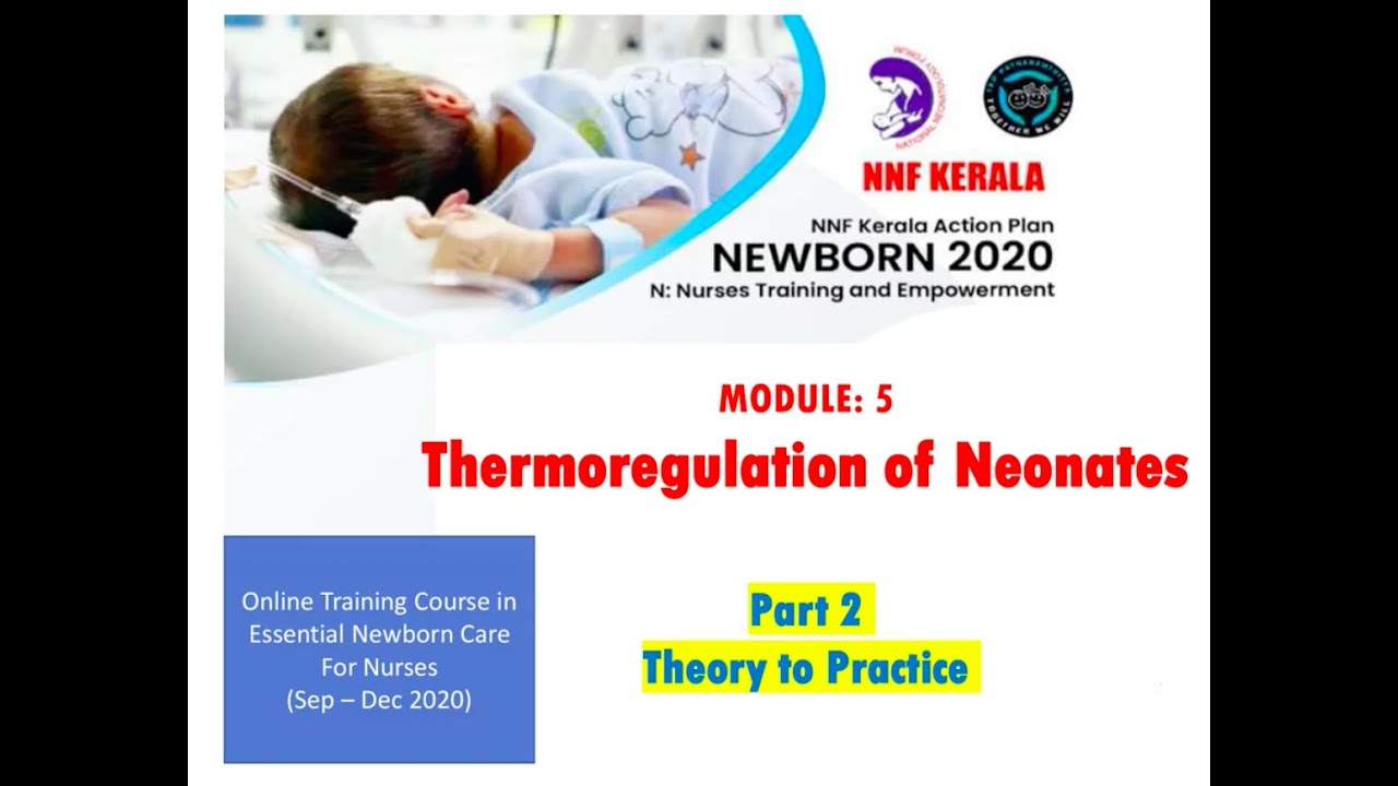 Module 5 Part 2 (Theory to Practice) - YouTube