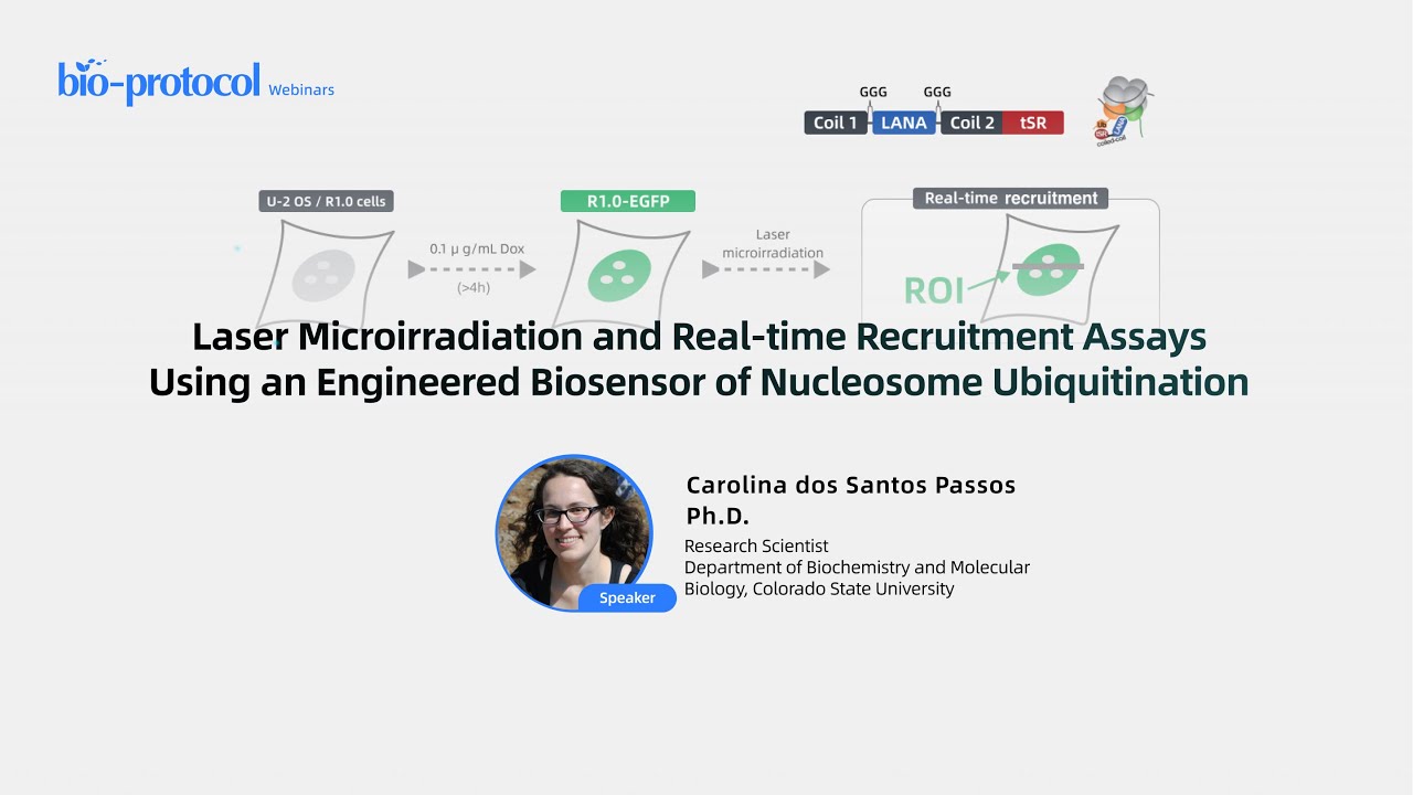 Laser Microirradiation and Real-time Recruitment Assays Using an ...