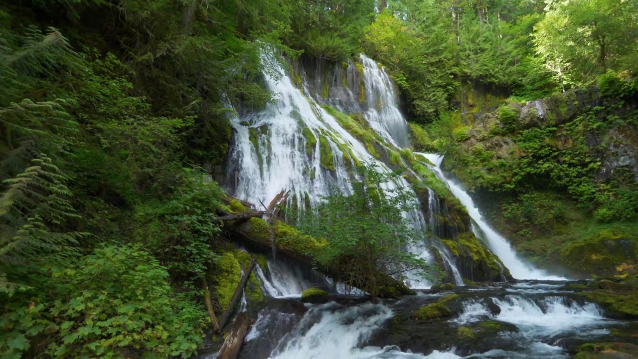 Lush Waterfall Free Stock Footage - YouTube