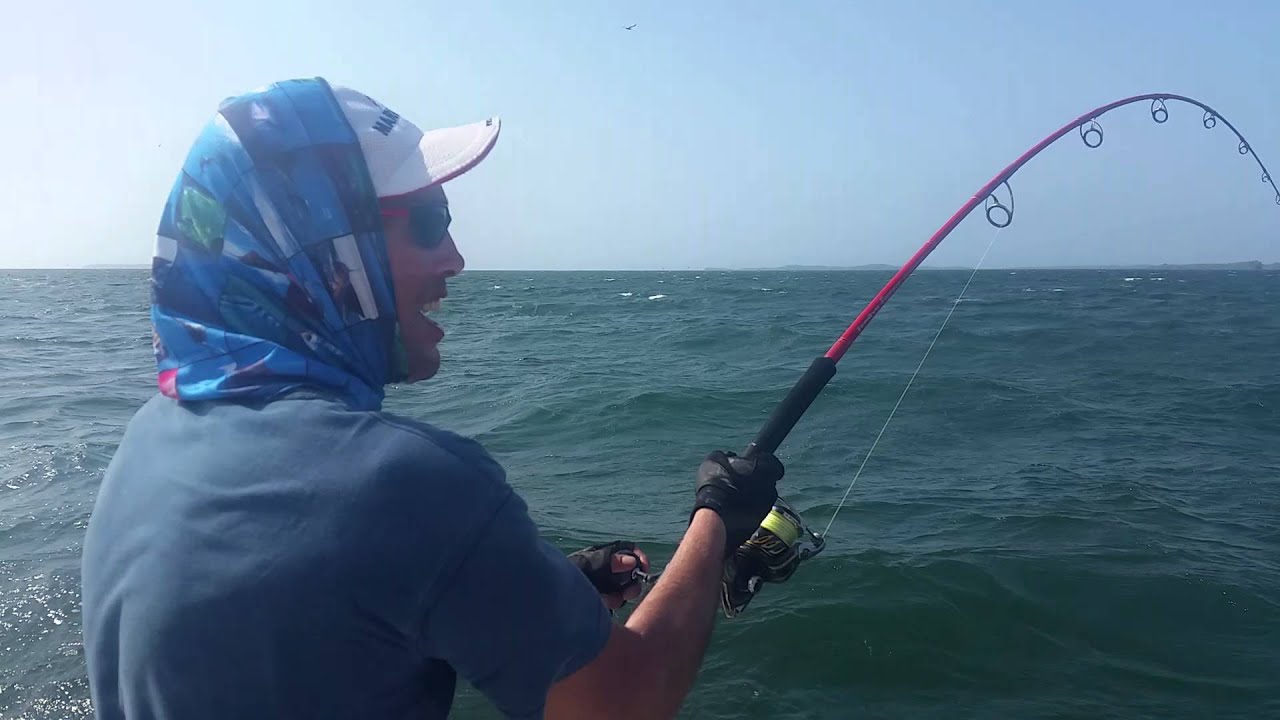 Splendide combat avec un poisson coq de 20 kg - YouTube