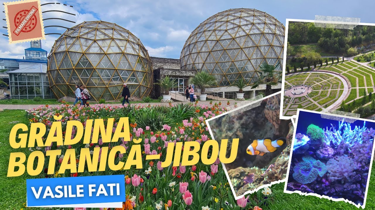 Cea mai frumoasă GRĂDINĂ BOTANICĂ din România 4K - YouTube
