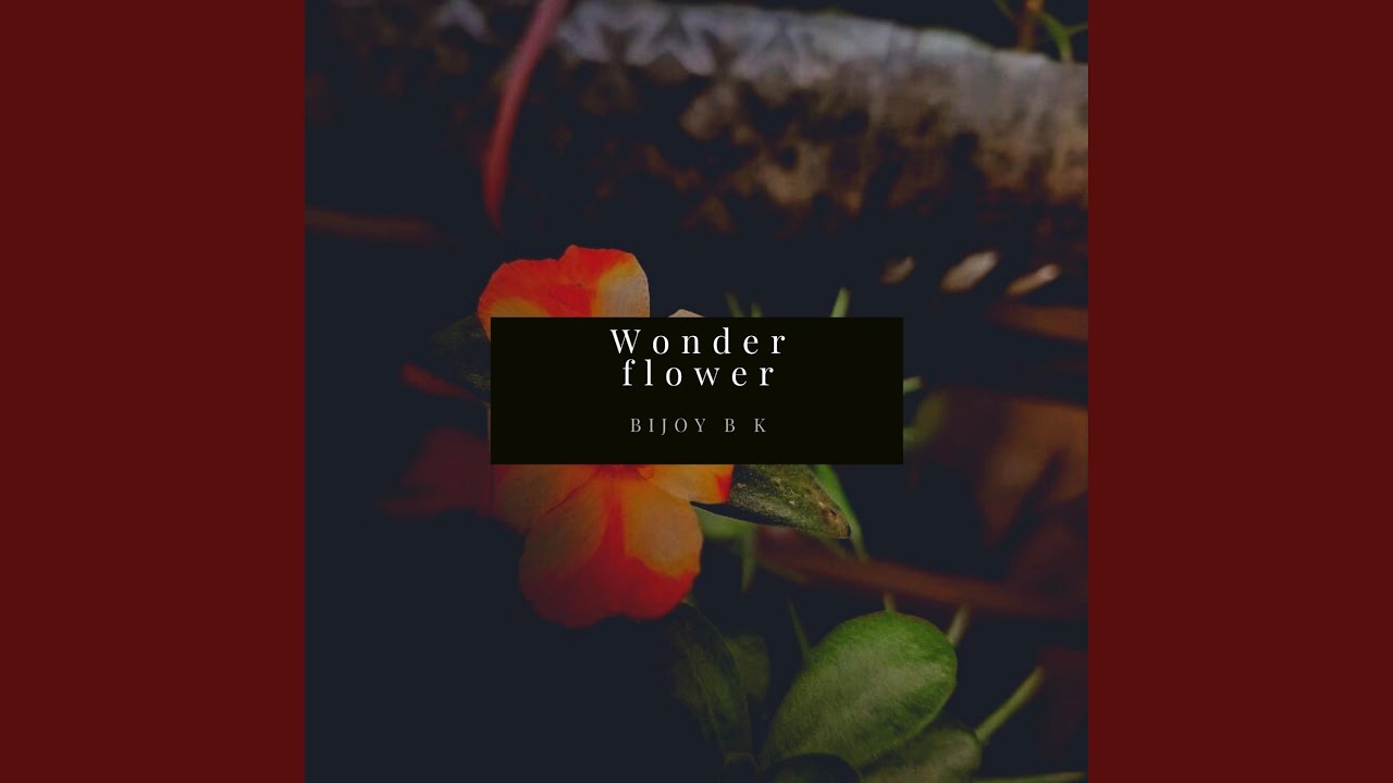 Wonder flower 1 - YouTube