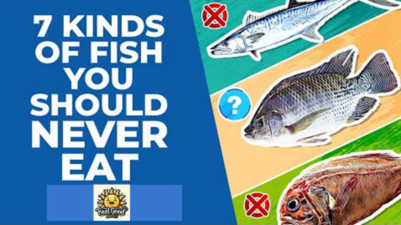 Top 7 Fish You Should Never Eat: Unveiling Hidden Health Hazards - YouTube