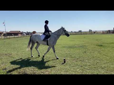 HMDC Summer 2020 Show-Grace Ballou/Calvina-Training 3 - YouTube