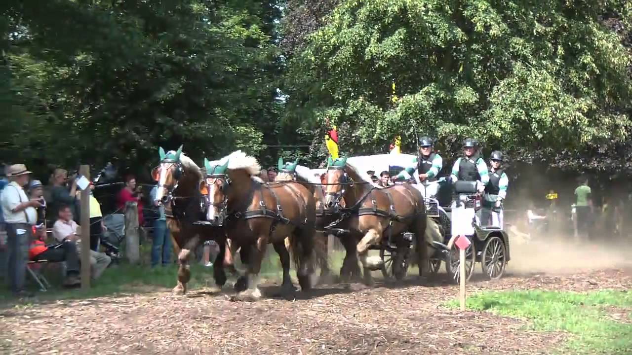 Jan TOYE Linden 2011 - YouTube