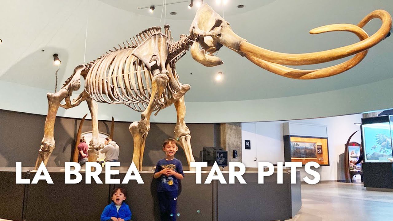 La Brea Tar Pits Museum in Los Angeles with Kids - What to See Inside ...
