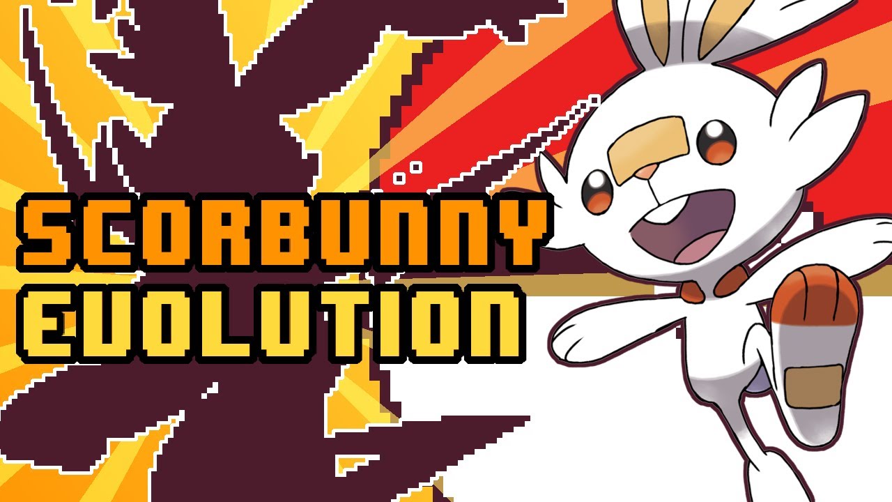 SCORBUNNY evolutions | Pokemon Sword and Shield - YouTube
