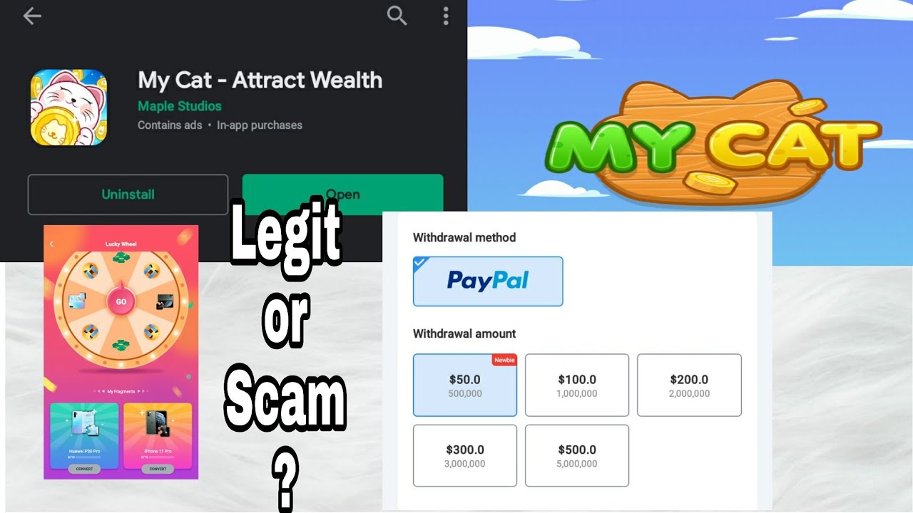 MY CAT APP | KUMITA NG PERA GAMIT LANG ANG CELLPHONE? | LEGIT OR SCAM ...