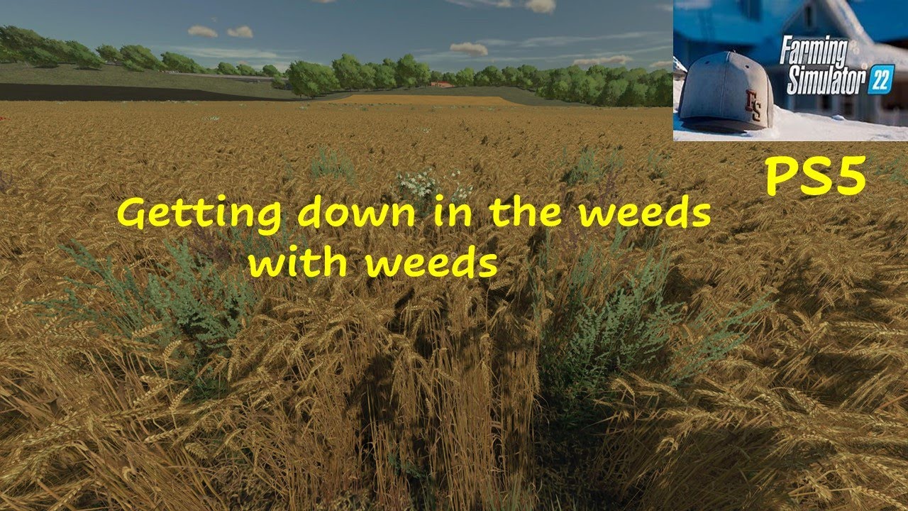 FS22…At look weeds on base game and Precision Farming on Farming ...