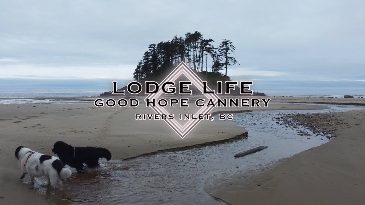 Stranded On A Beach, Days Before Guest Arrival - Rivers Inlet | Calvert ...