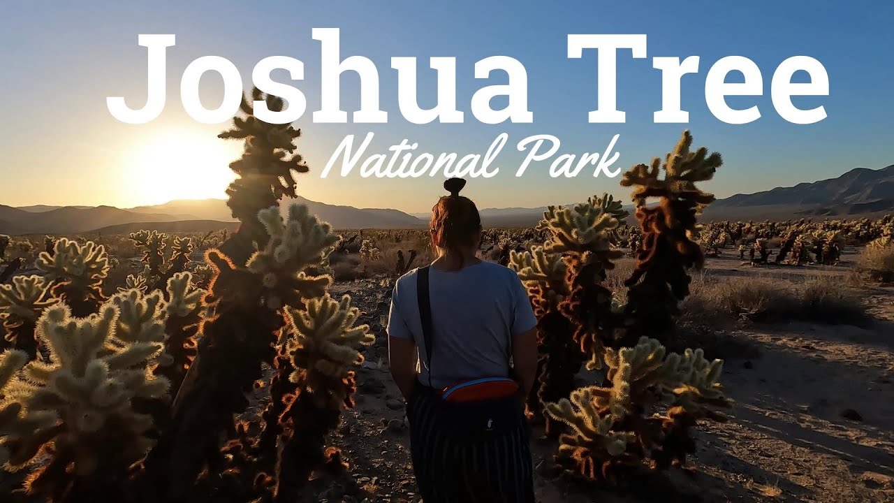 One Day Exploring | Joshua Tree National Park | Camping Jumbo Rocks ...