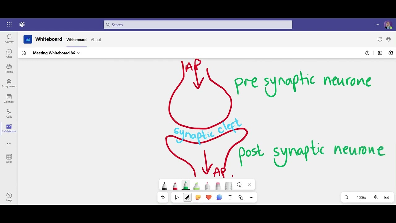 BTEC Human Biology unit 1 - revision - Synapses - YouTube