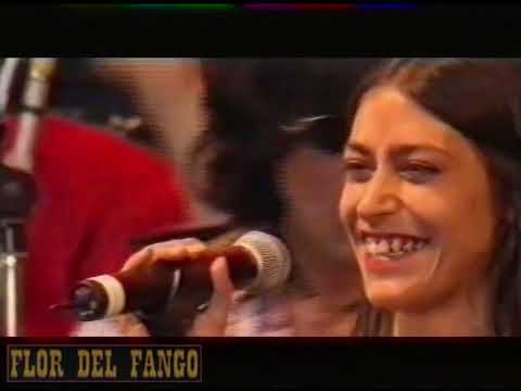 Flor Del Fango 🕐 31 minutes  📅 2000 📼 Archives La Divette De Montmartre 📺 Tv 📍 La Rochelle