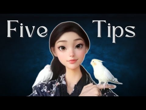 5 General Bird Tips for New Parrot Owners🦜 Beginner Guide - YouTube