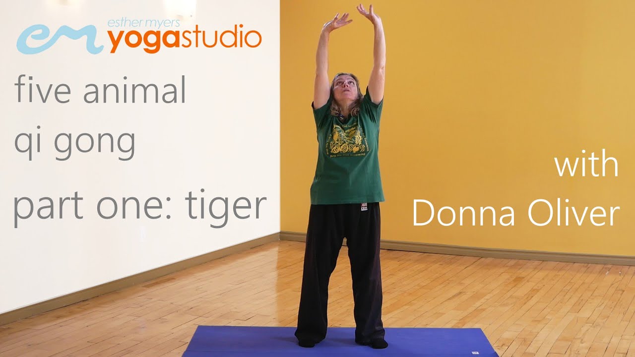 5 Animal Qi Gong part one: Tiger, with Donna Oliver - YouTube