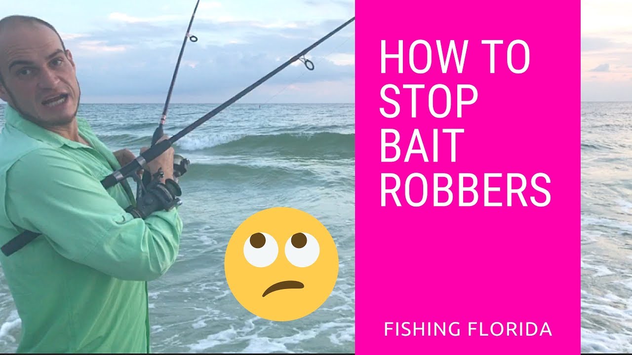 How to Stop Bait Robbers | Fishing Florida - YouTube