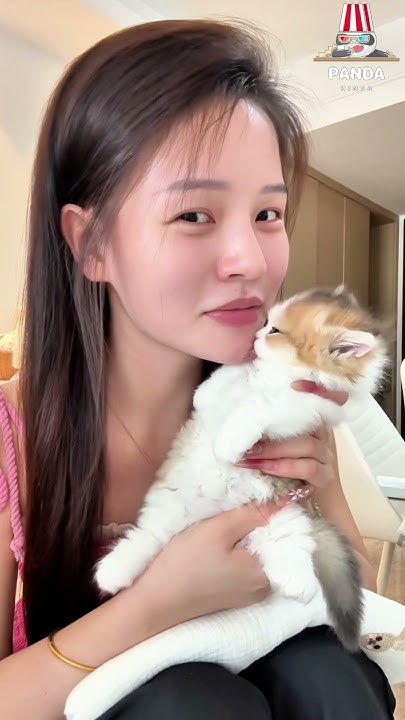 My little kitten now kisses me on its own because it has learned how to kiss.😁😜#cat #pets # ...