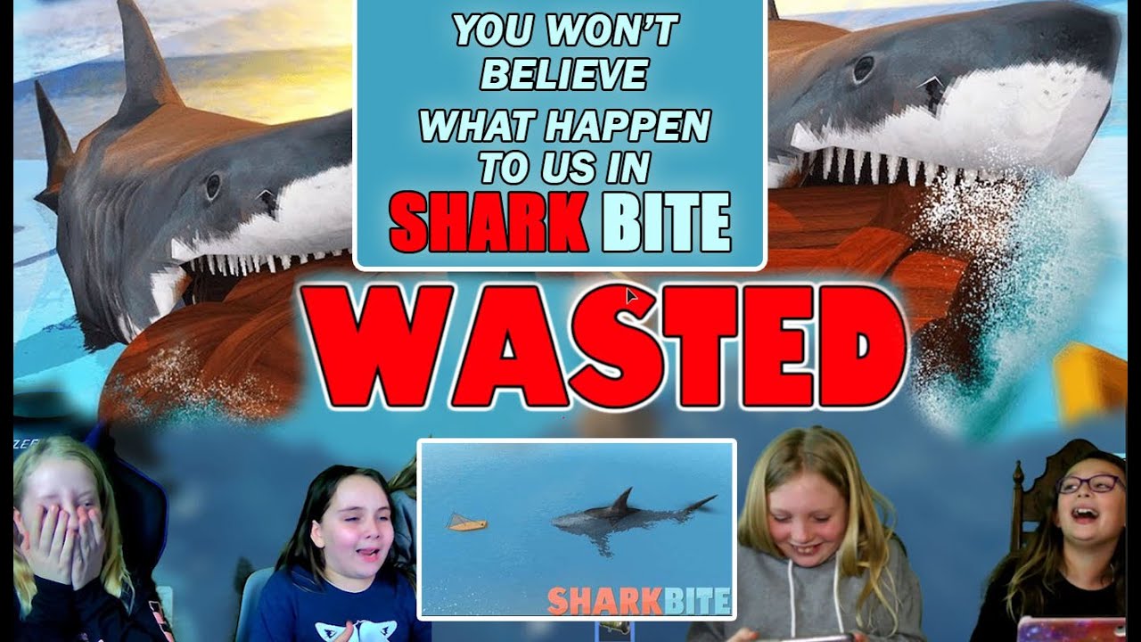 YOU WON'T BELIEVE WHAT HAPPEN TO US IN SHARK BITE - YouTube