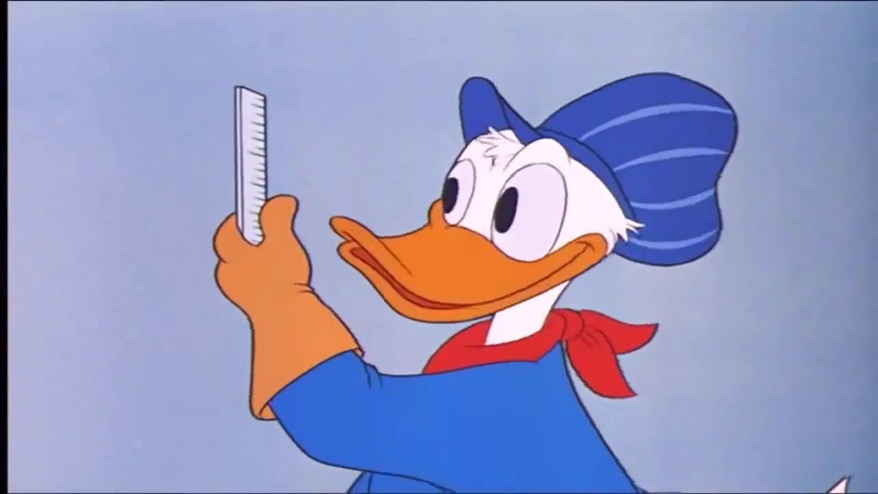 DONALD DUCK & CHIP and DALE Cartoon - YouTube